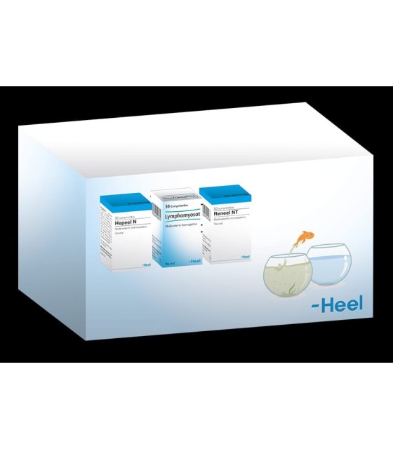 Heel Kit Detox Terapia Detoxificación 3x30 Ml